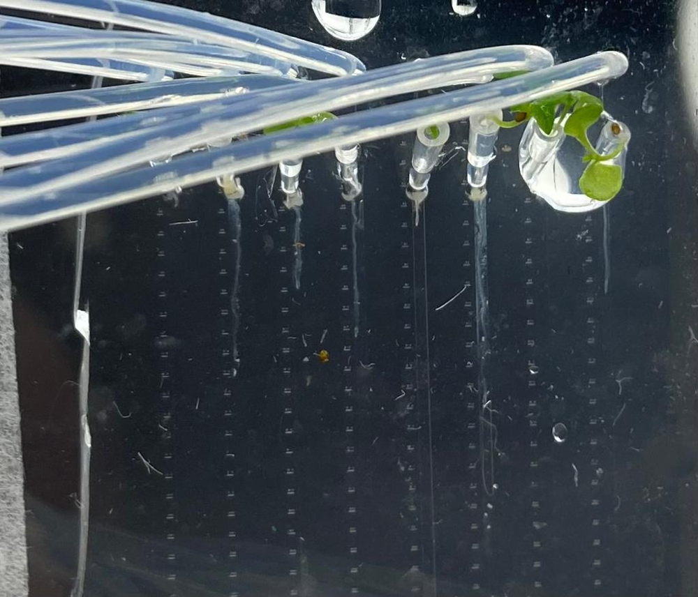 Exploring the world of microfluidics at VIB